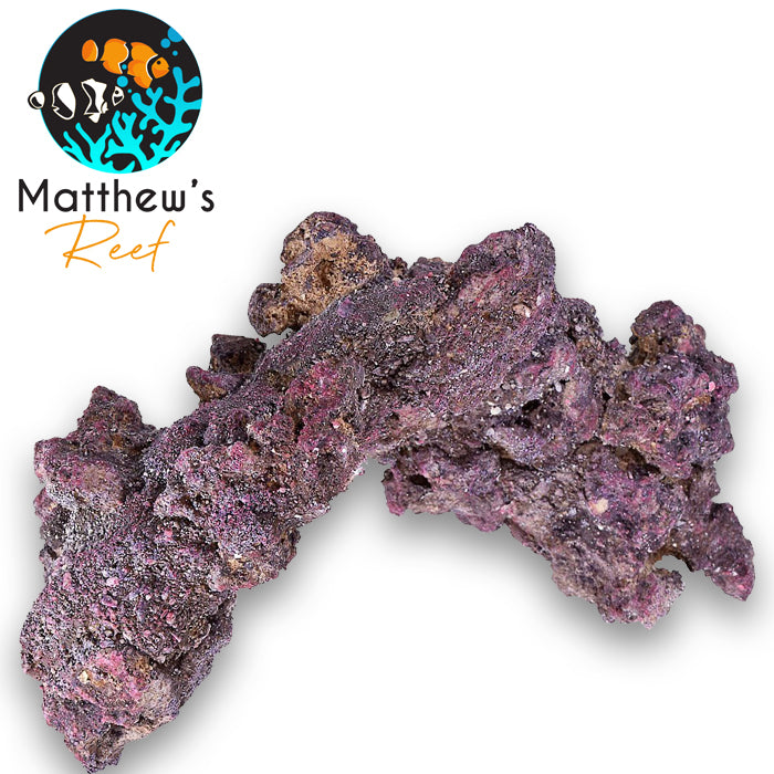 CaribSea LifeRock Arch – Matthew's Reef